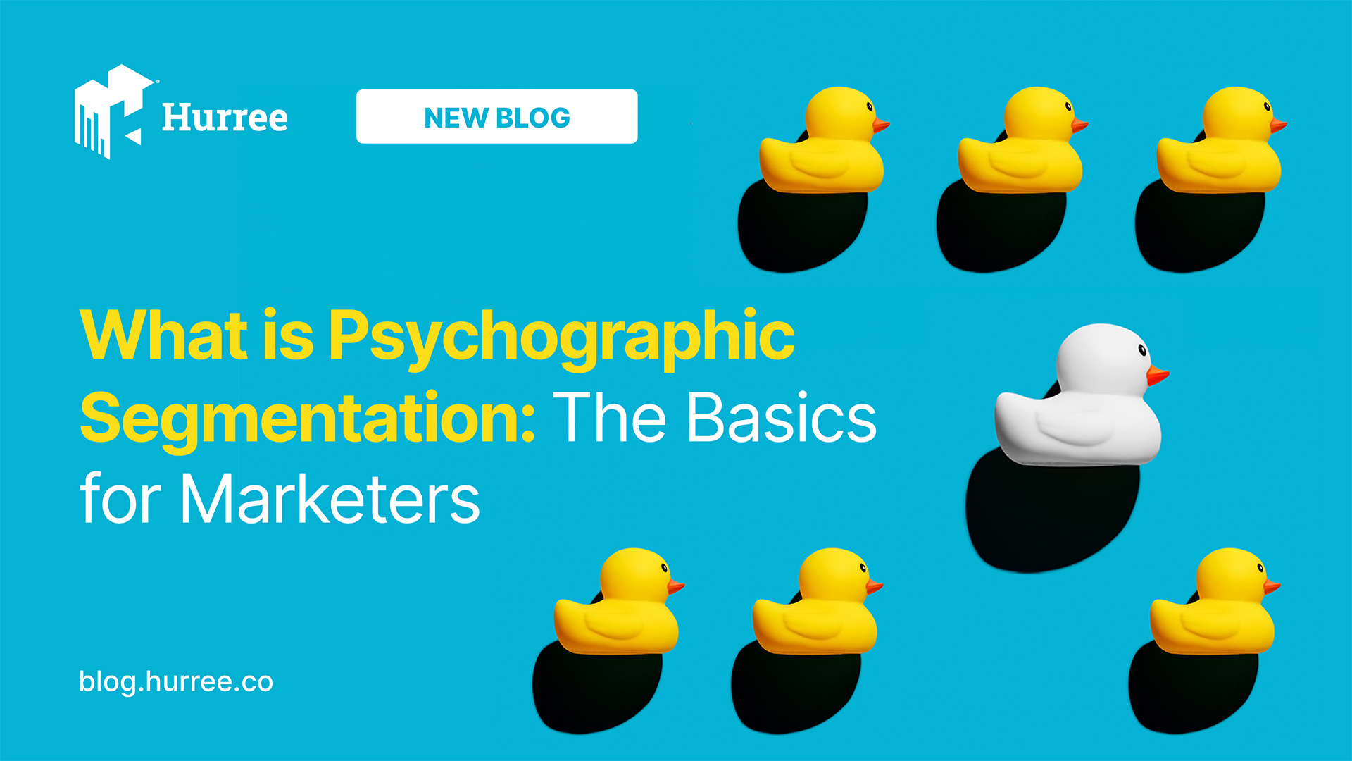What is Psychographic Segmentation: The Basics for Marketers